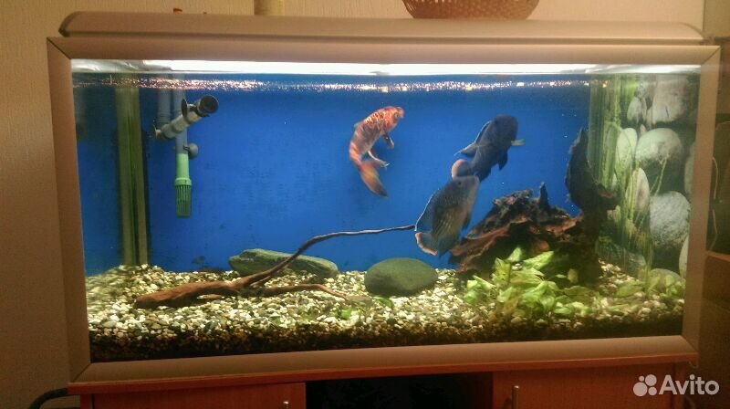 Аквариум akvastabil effect-line AS-100