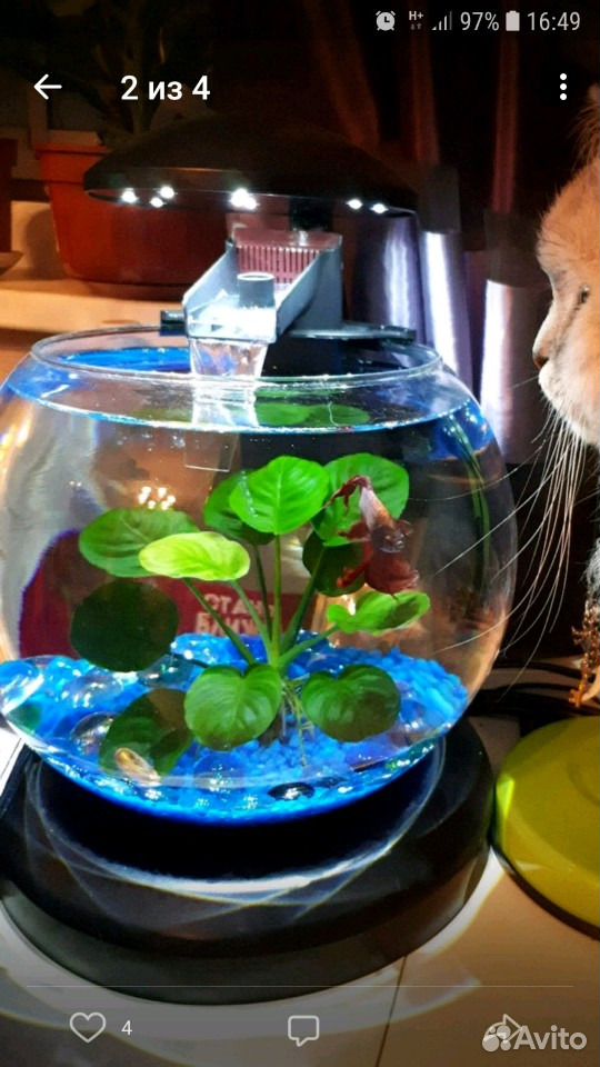 Аквариум Tetra