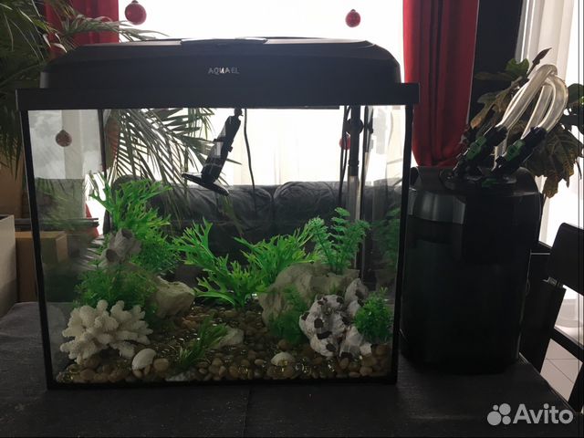 Аквариум и tetra ex