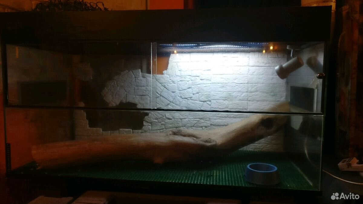 Террариум для рептилий большой