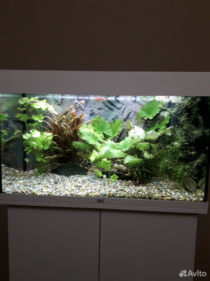 Продам Аквариум Ювель