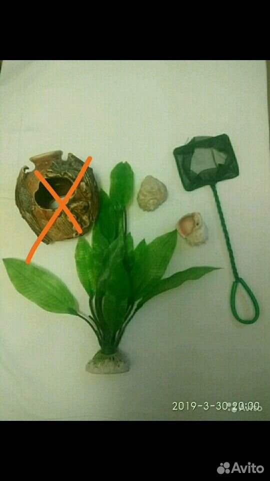 Принадлежности для акквариума