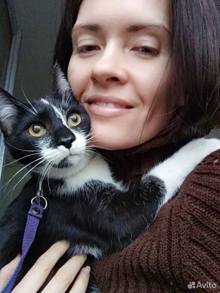 Котенок Стрельчонок, 6мес, кастрир,вырастет гигант