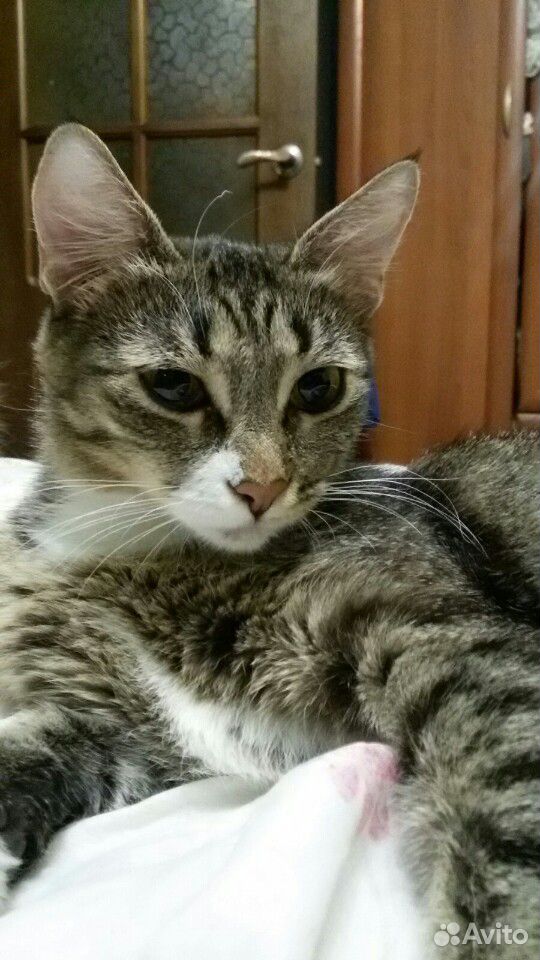 Лучший антидепрессант в условиях самоизоляции