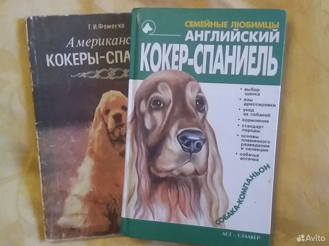 Английский Кокер-Спаниель