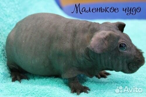 Скинни вязка