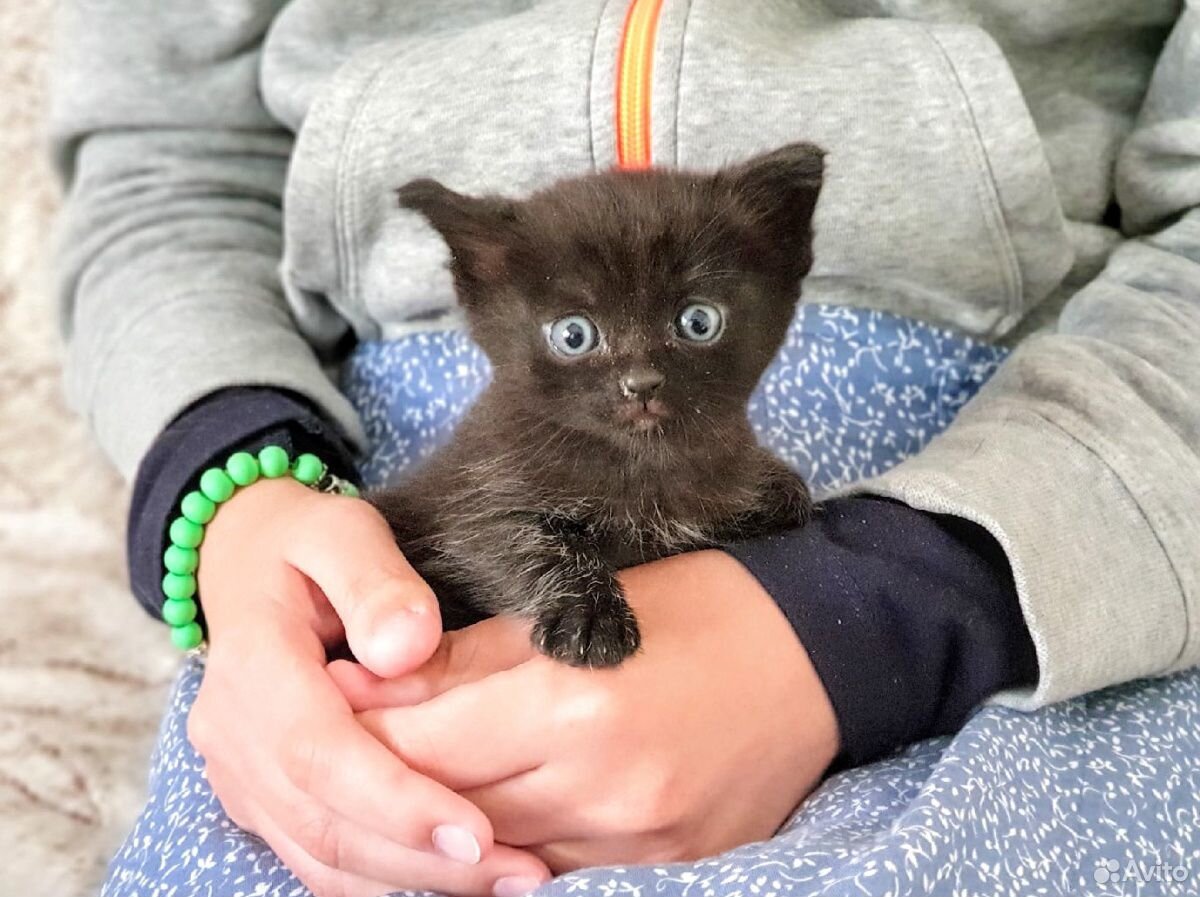 Разыскиваются добрые ручки для малыша