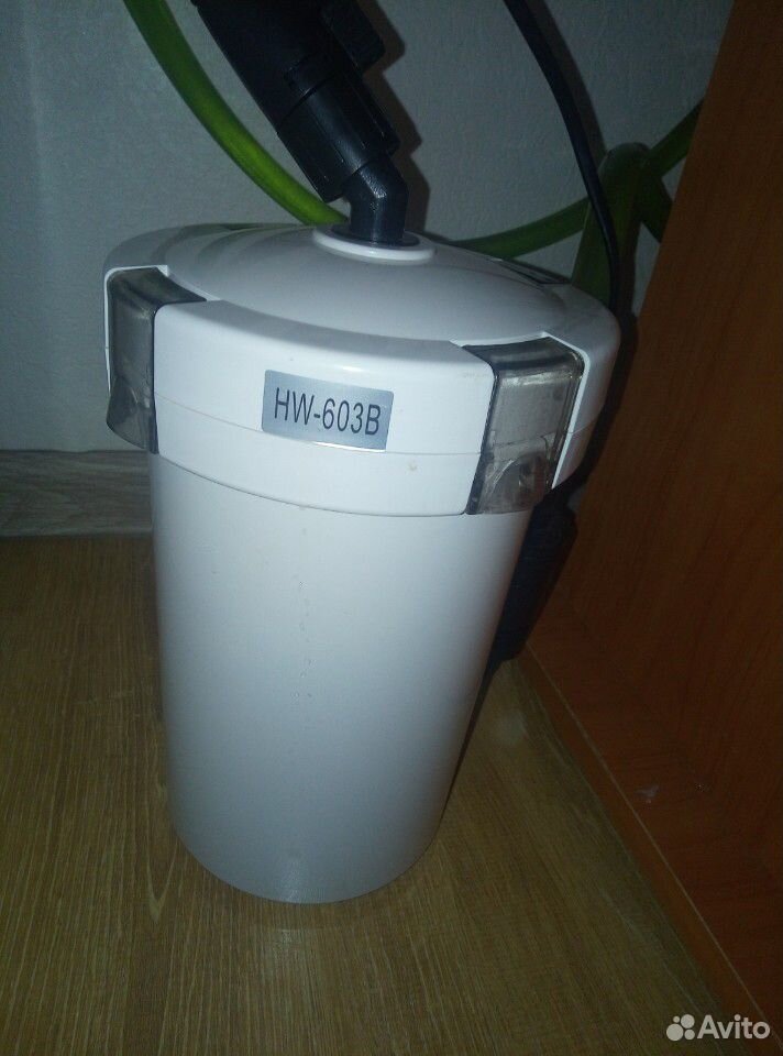 Аквариумистика