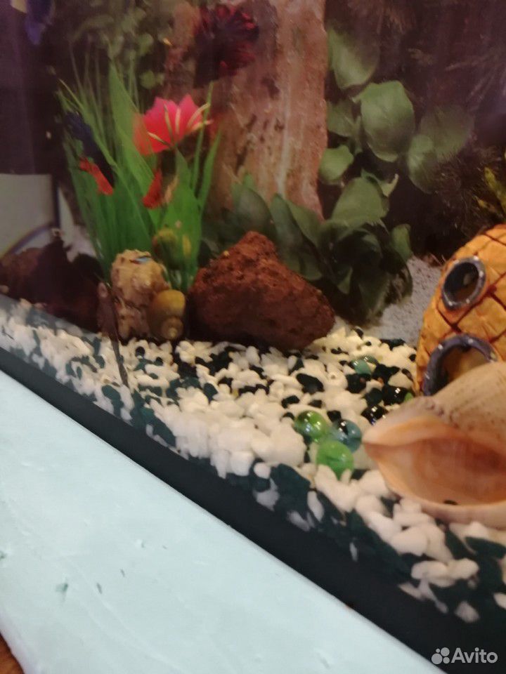 Аквариум 50 л с крышкой