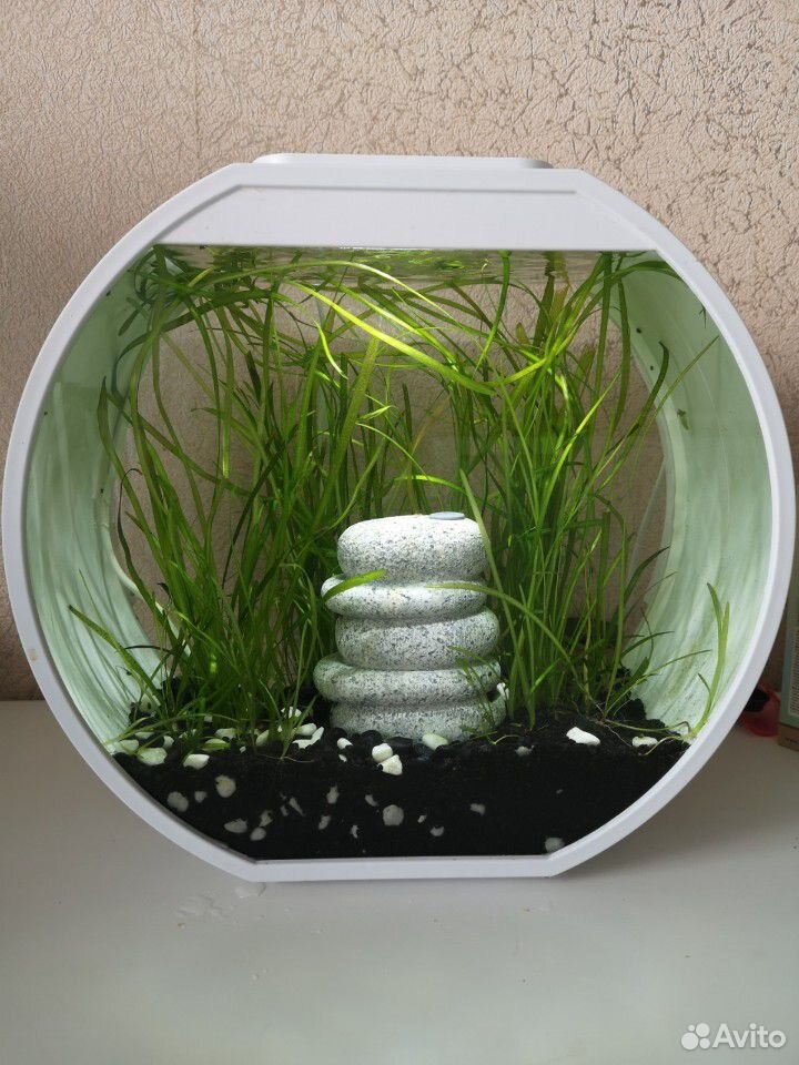Аквариум Deco O 20 литров