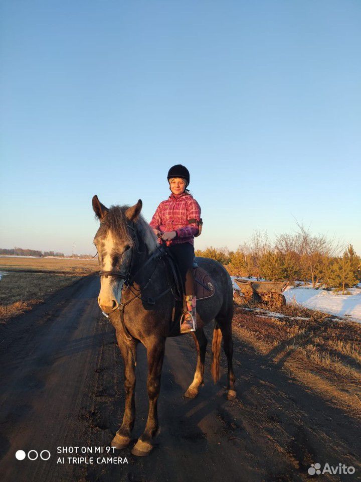 Продам лошадку