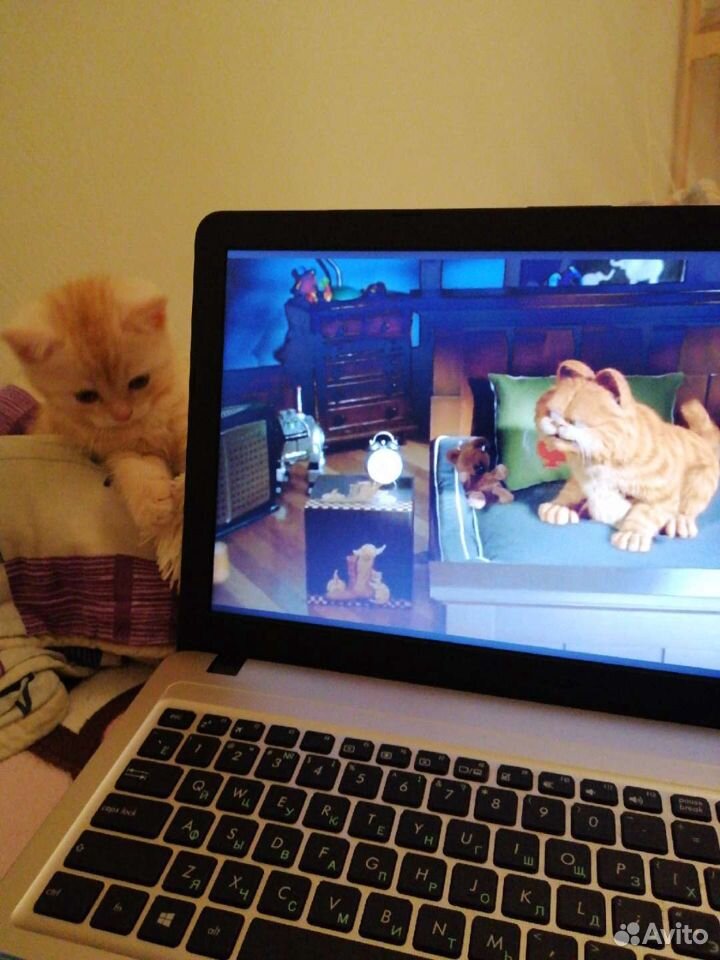 Персиковое чудо