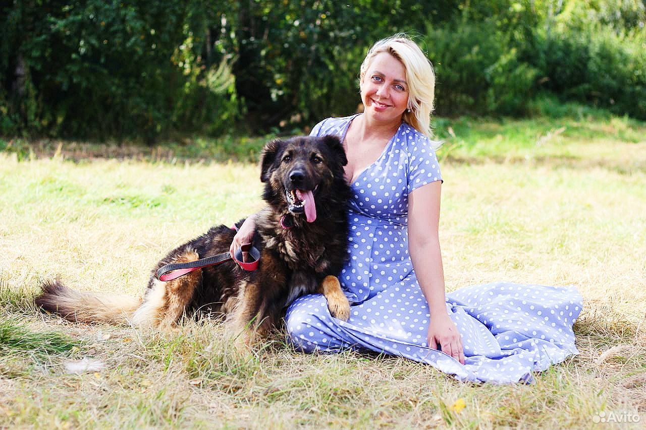 Бывшедомашний пёс ищет самый лучший дом