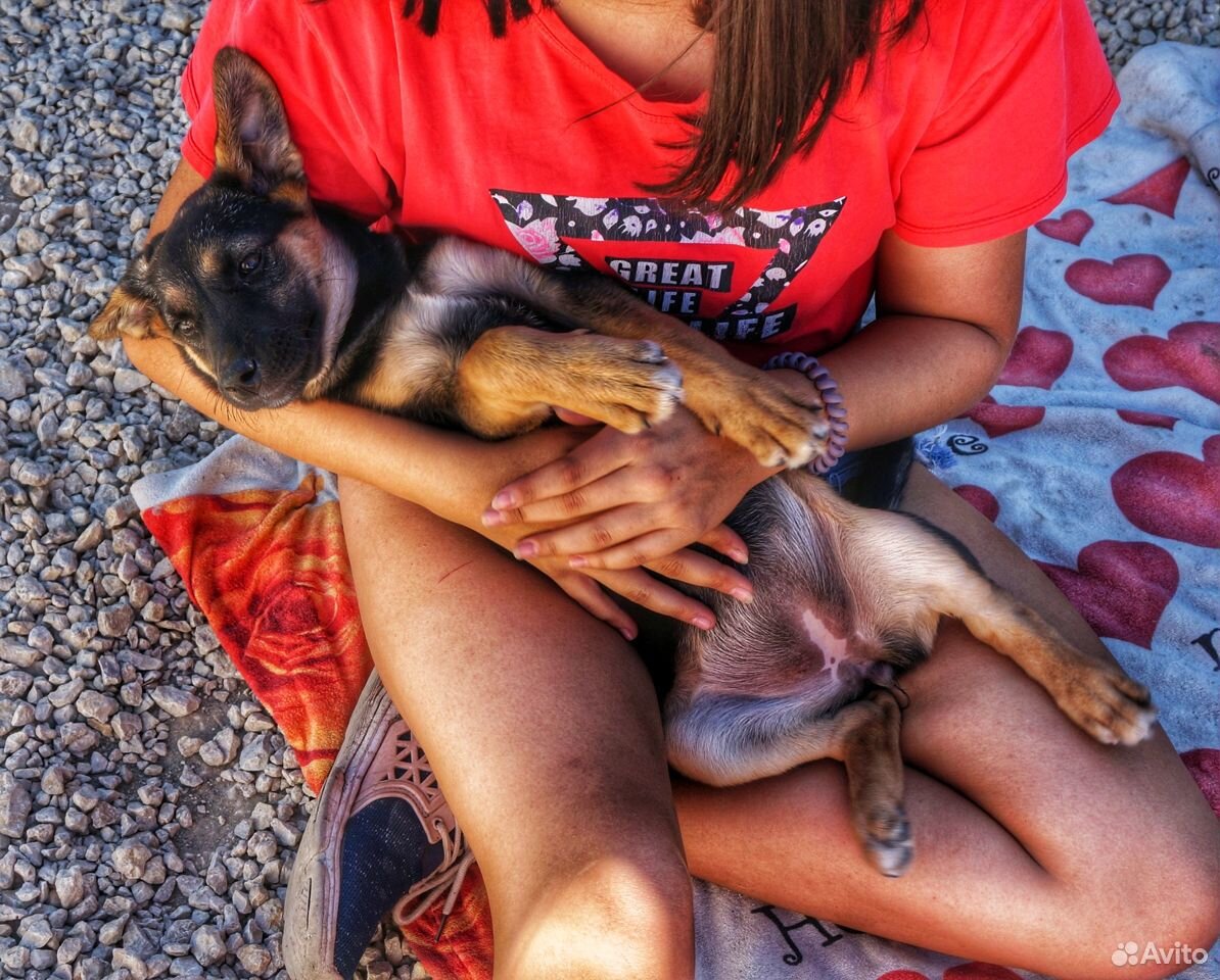 Пряня ищет семью