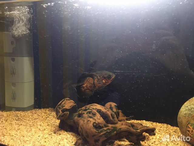 Аквариум 108 л