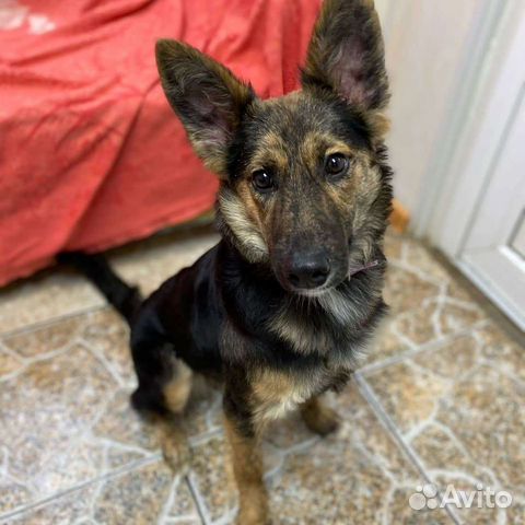 Отдадим в ответственные руки