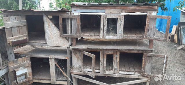 Кролятники