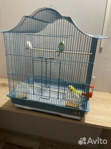 Волнистые попогайчики с клеткой