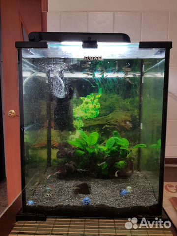 Нано-аквариум Aquael shrimp set 30 литров. Б/У