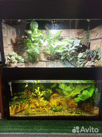 Полюдариум