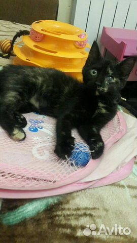 Нежная и ласковая девочка