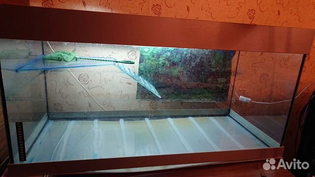 Черепашник