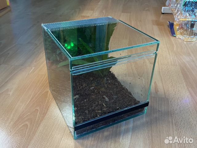 Террариум кубик 20х20х20