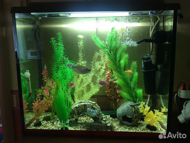 Аквариум 85 литров