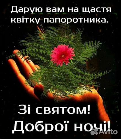 Продажа орловских лошадей