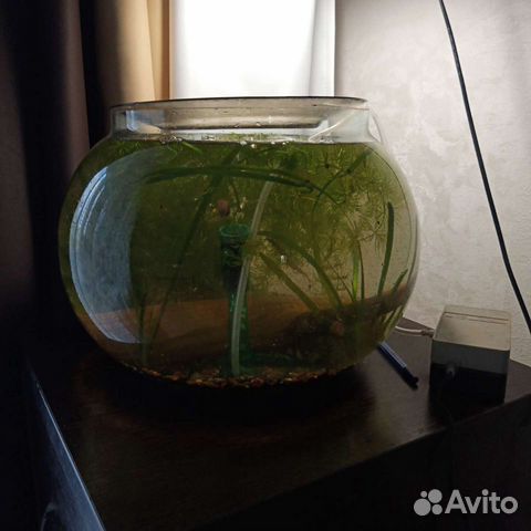Круглый аквариум