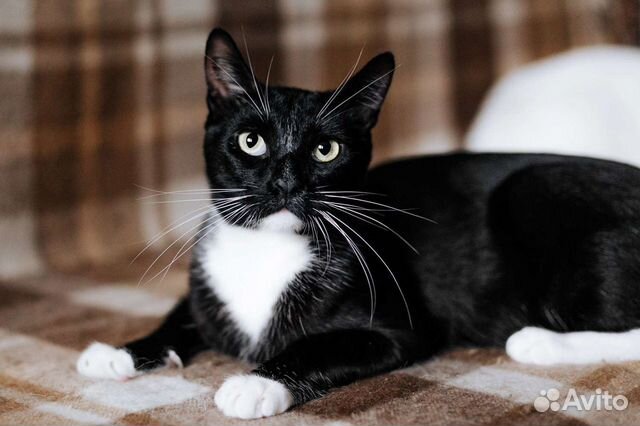 Бетмен очень ждёт вас