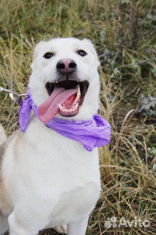 Малыш ждет дом