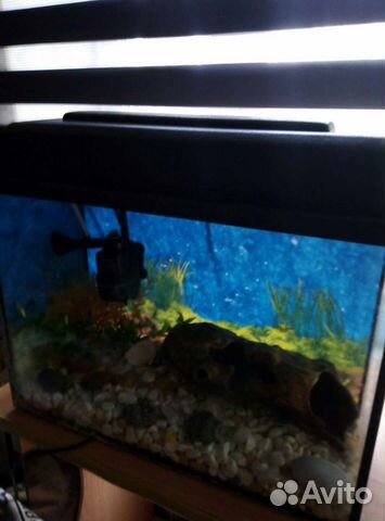 Аквариум в сборе