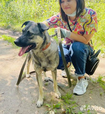 Щенок погибнет в приюте