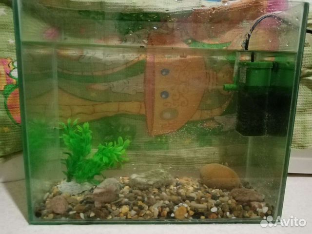 Аквариум