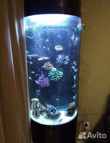 Аквариум вертикальный, колба
