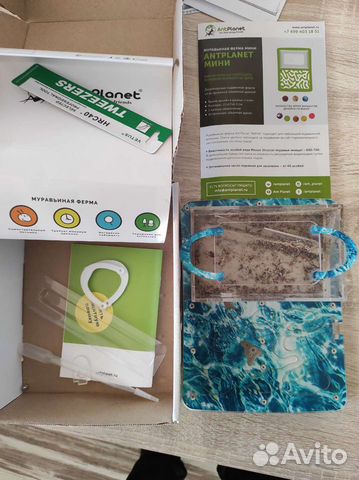 Муравьиная ферма полный комплект с муравьями