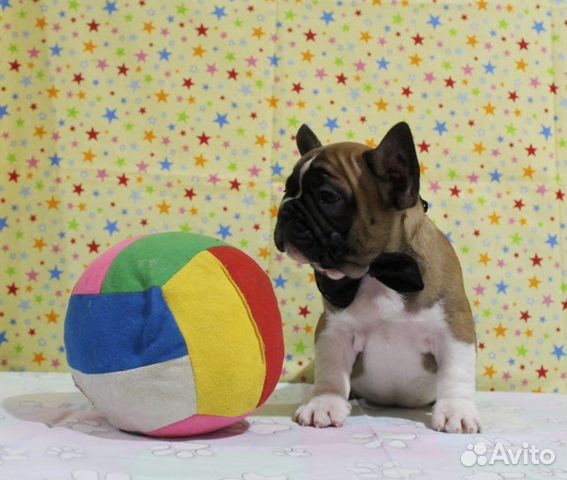 Французский поцелуй