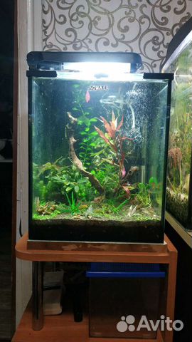 Аквариум кубик акваэль