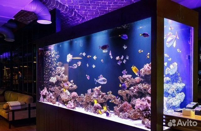 Обслуживание аквариумов