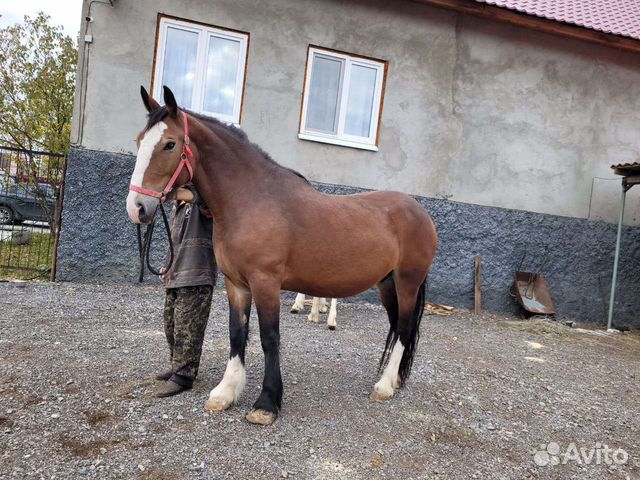 Владимирка