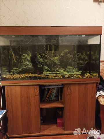 Аквариум около 200 литров