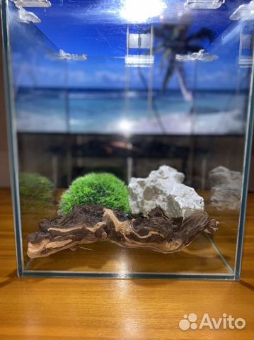 Аквариум