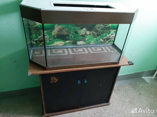 Аквариум