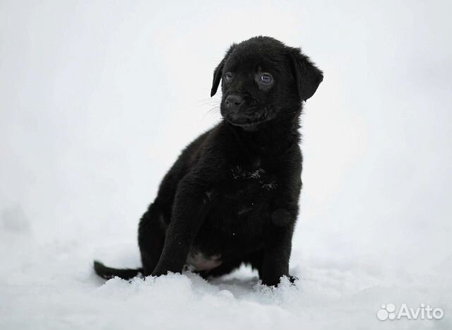 Даша ждет вас