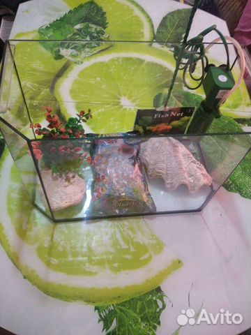 Аквариум б/у