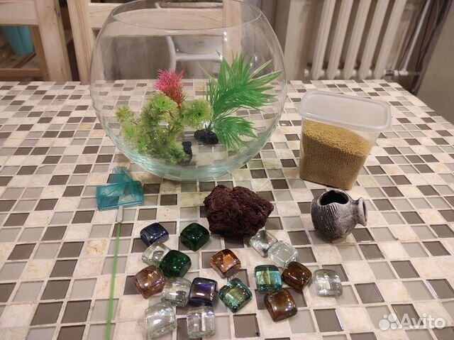 Аквариум для петушка