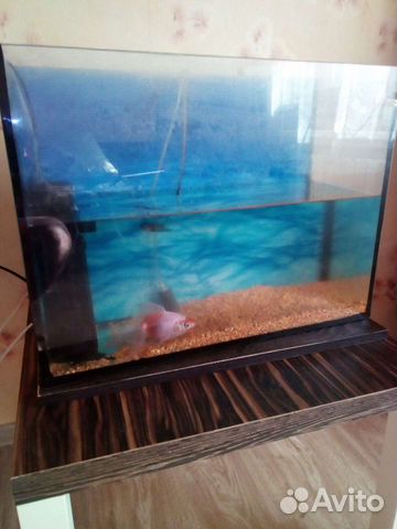 Аквариум 40л
