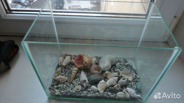 Аквариум с ракушками. Б\У