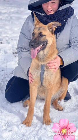 Ищем родителей для марточки